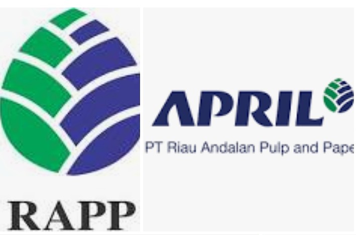 PT RAPP Diduga PHK Sepihak Salah Seorang Karyawannya - SKI Nusantara Post